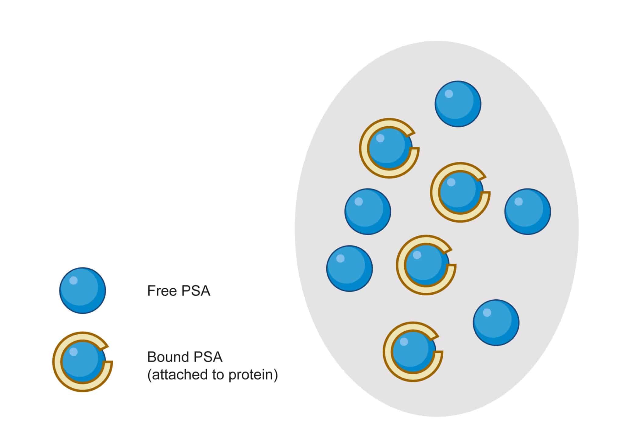 About the PSA Test | PCFA